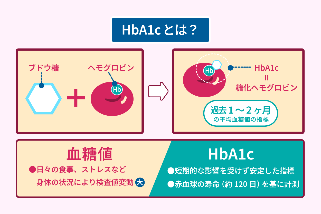 HbA1cの目標値は？理想的な数値を含めて徹底的に解説